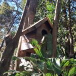 Build A Possum Nest Box - Purple Tree Pets