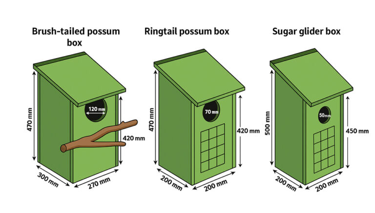 Build A Possum Nest Box - Purple Tree Pets