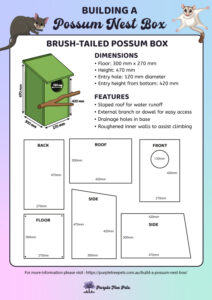 Build A Possum Nest Box - Purple Tree Pet Care