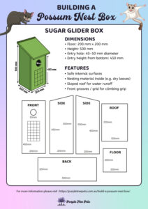 Build A Possum Nest Box - Purple Tree Pet Care