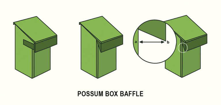 Build A Possum Nest Box - Purple Tree Pets